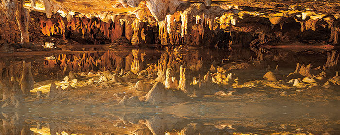 Caves of Doom | Reading Passage Grade 6, 7, 8 | Scholastic Scope Magazine