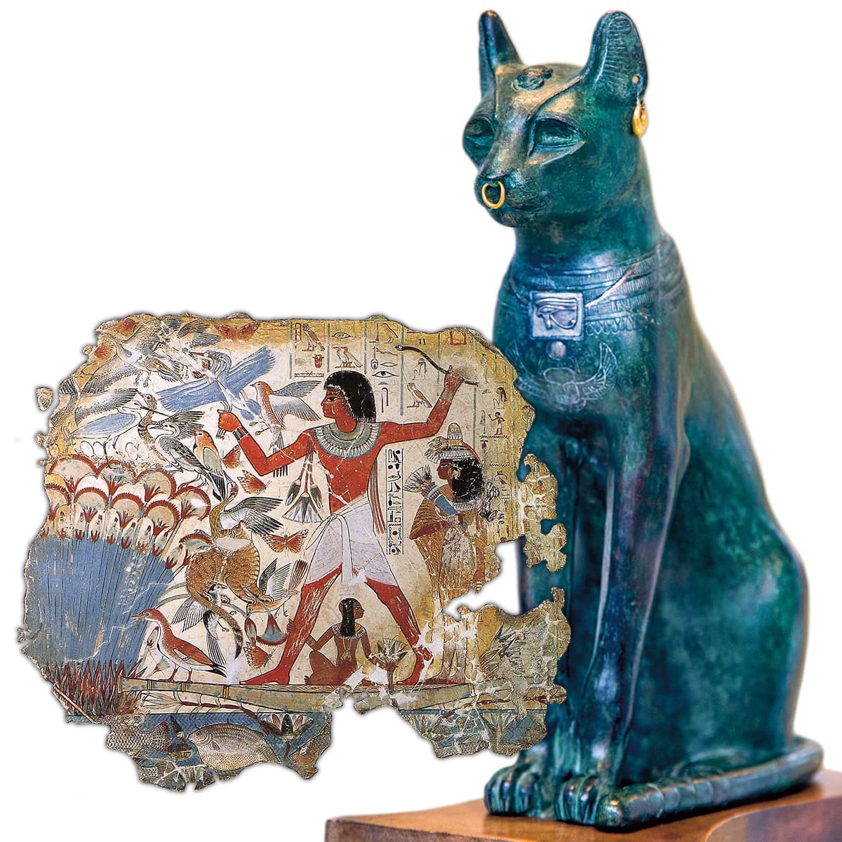 Cats History Class The Evolution Of House Cats | Scientific American